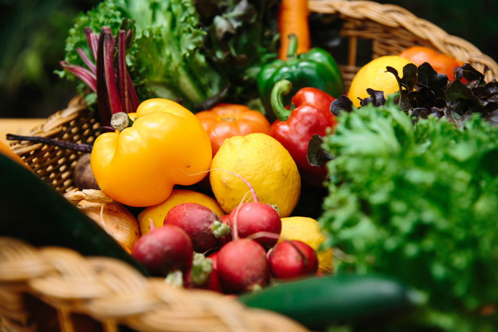 Our Ingredients - Gather